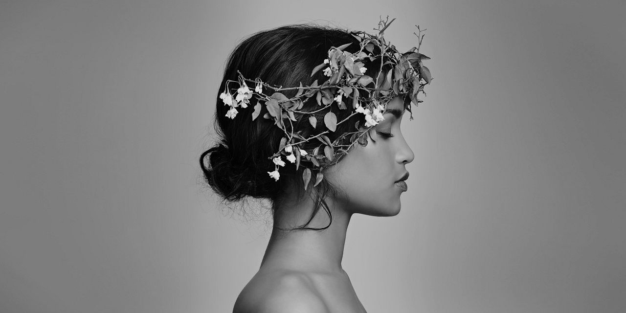 Home - Louise Highet